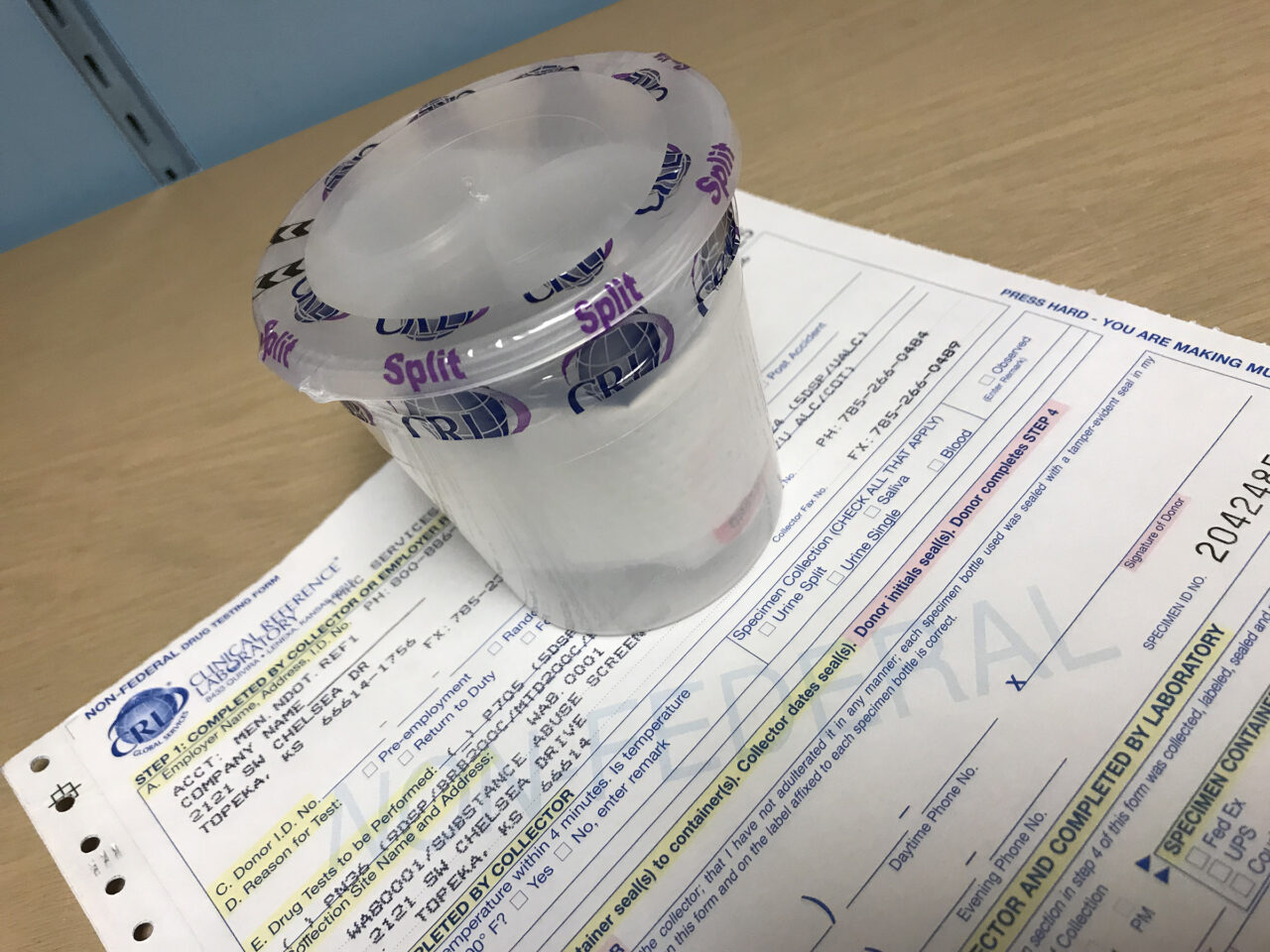 Employment & Employee Drug Testing Solutions: Hair, Oral Fluid, Lab ...